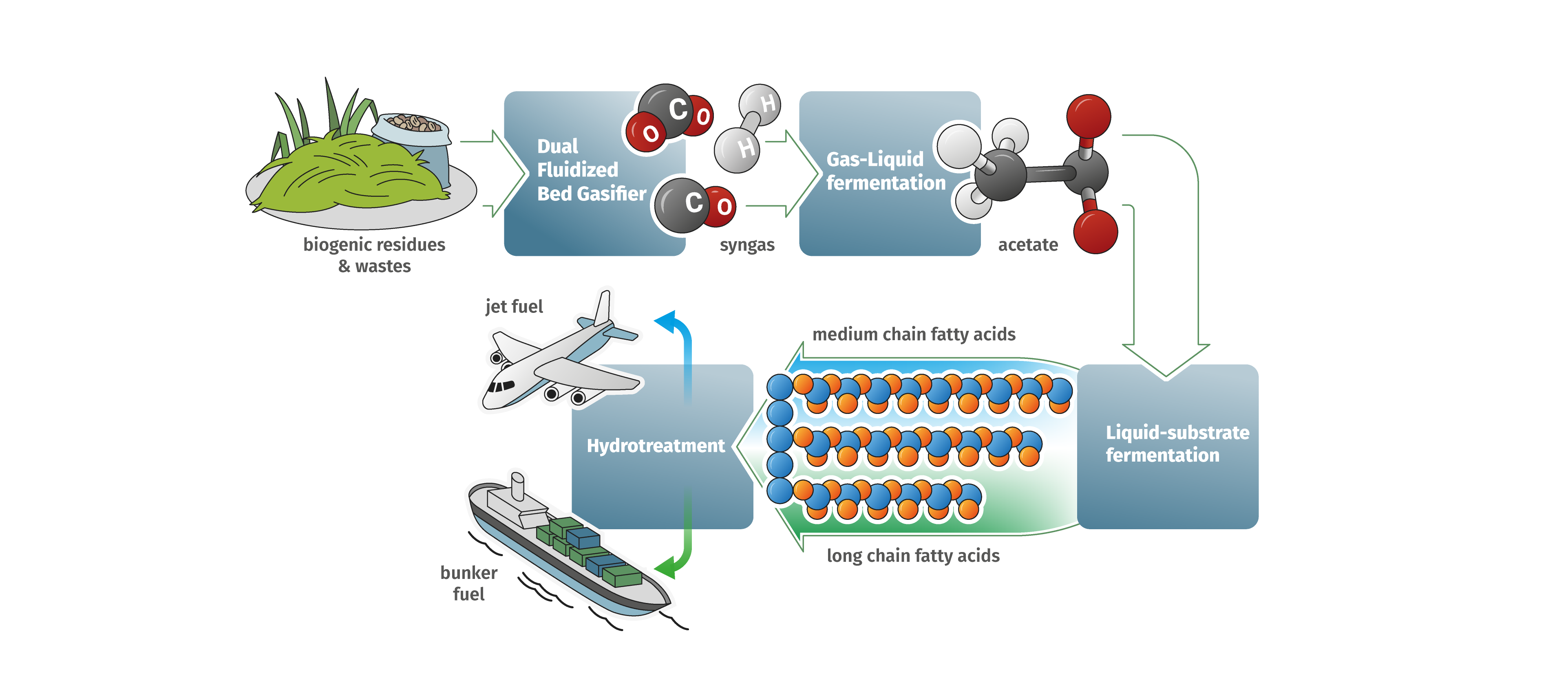 Biomass Conversion and Biorefinery Journal: a new paper on BioSFerA ...